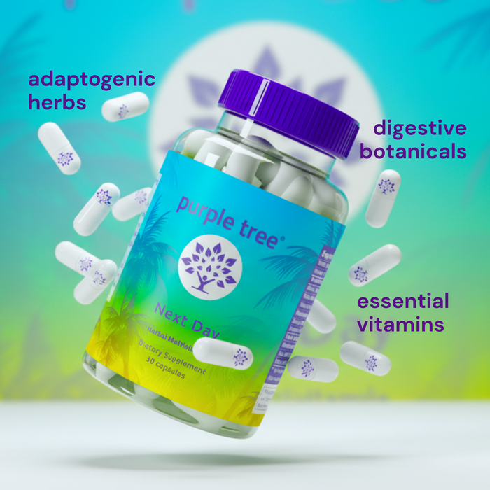 Next Day | Morning-After Wellness Supplement with KSM-66® Ashwagandha ...